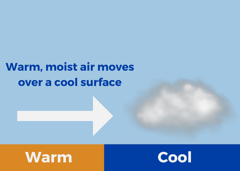 Exploring Fog's Origins, Occurrence, and Impact on Industries
